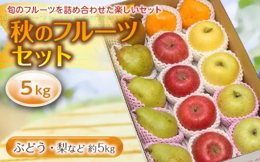 秋のフルーツセット5kg F2Y-2136 - 山形県- | ふるさと納税 [ふるさとチョイス]