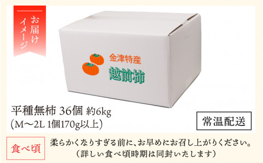 【先行予約】越前柿 36個入 約6kg（M～2L）≪JA受賞歴親子2代≫ ／ 果物 フルーツ 柿 産地直送 期間限定 ※2024年11月上旬より順次発送 / 福井県あわら市 | セゾンのふるさと納税