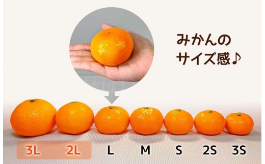 みかん とにかく大玉 4kg どっこいしょ 秀優品ミックス 2L以上 和歌山県産 有田みかん 【みかんの会】 - 和歌山県有田川町｜ふるさとチョイス - ふるさと納税サイト