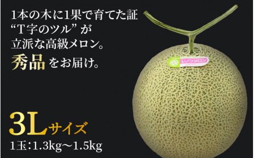 【先行予約】レノンメロン 3L 2玉入 約2.6～3kg《秀品》コク深い甘さ・香りいっぱいのメロン！農家直送 有機肥料 低農薬 赤肉 マスクメロン 高級メロン ※2023年6月下旬以降発送 ...