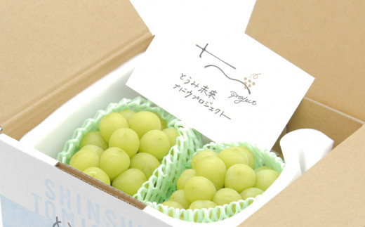 東御市産シャインマスカット3kg（5～7房）【秋お届け】 / 長野県東御市 | セゾンのふるさと納税