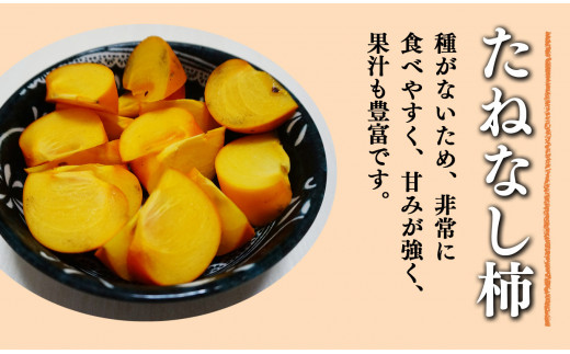 たねなし柿 訳あり 7.5kg M~Lサイズ 29個～31個 - 奈良県五條市｜ふるさとチョイス - ふるさと納税サイト