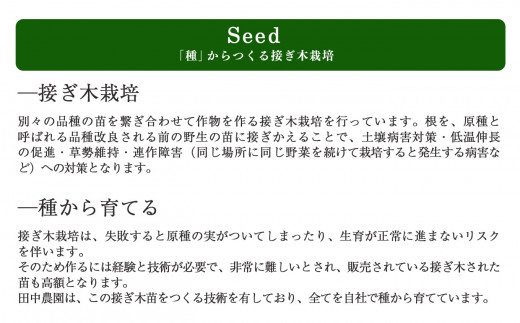 たねなし柿 訳あり 7.5kg M~Lサイズ 29個～31個 - 奈良県五條市｜ふるさとチョイス - ふるさと納税サイト
