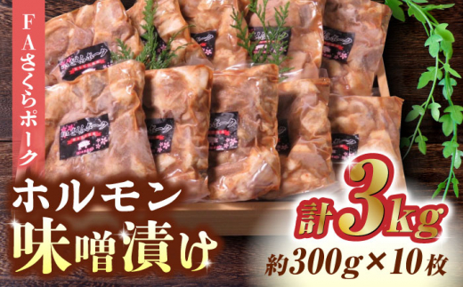 FA さくらポーク 豚 ホルモン 味噌漬け 3kg (300g×10)【KRAZY MEAT(小田畜産)】 [ZCP004] - 熊本県山鹿市｜ふるさとチョイス - ふるさと納税サイト
