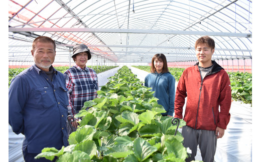 岸川農園のいちご「さがほのか＆淡雪」220g×各2P - 佐賀県NPO支援｜ふるさとチョイス - ふるさと納税サイト