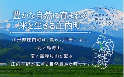 山形県産 雪若丸無洗米 6kg 2kg×3袋 令和7年産 2025年産 ブランド米｜庄内町｜山形県｜返礼品をさがす｜まいふる by AEON CARD