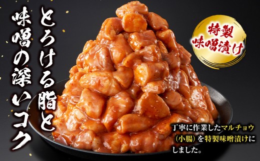 ＜訳アリ＞牛マルチョウ 特製味噌漬け 3kg(300g×10）【2026年8月発送】 | ケアネットふるさと納税
