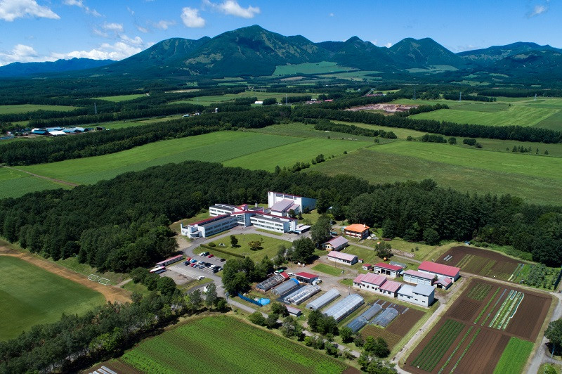 【H03】士幌高校アイスクリーム（バニラ100ml×8個） - 北海道士幌町 | ふるさと納税 [ふるさとチョイス]