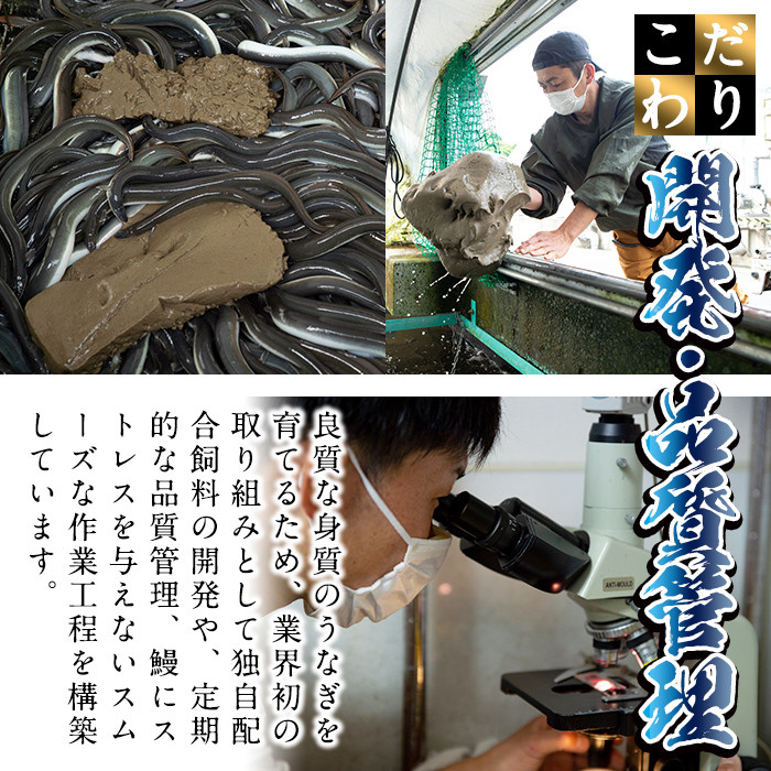 日ノ本一の鰻の蒲焼き＜大＞3尾セット(計570g以上) b8-022 - 鹿児島県志布志市｜ふるさとチョイス - ふるさと納税サイト