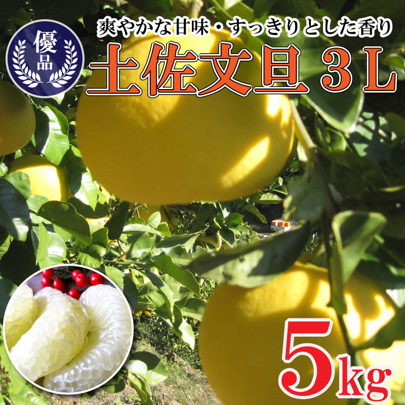 【2月から発送】 文旦 高知 5kg 3L サイズ 優品 土佐文旦 浦ノ内特産 早期予約 予約受付中 期間限定 季節限定 限定 旬 みかん ぶんたん 高知県 柑橘 贈答 お土産 国産 ブランド ...