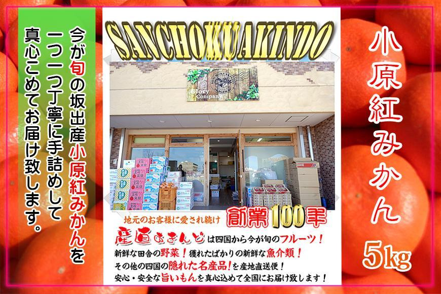小原紅早生みかん 香川県産 約5kg ( S ～ Lサイズ ) ｜ みかん - 香川県坂出市｜ふるさとチョイス - ふるさと納税サイト