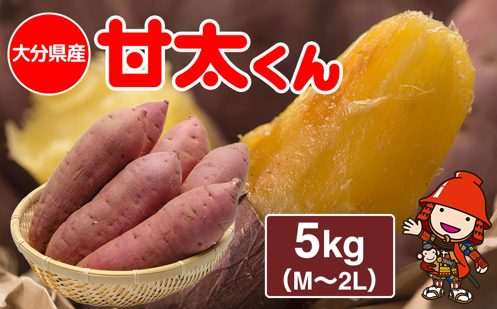 【先行予約】【期間限定】大分県産かんしょ 甘太くん 5kg M・L・2L さつまいも さつま芋 サツマイモ 紅はるか べにはるか 焼き芋 九州産 中津市【発送は2024年11月下旬～2025年 ...