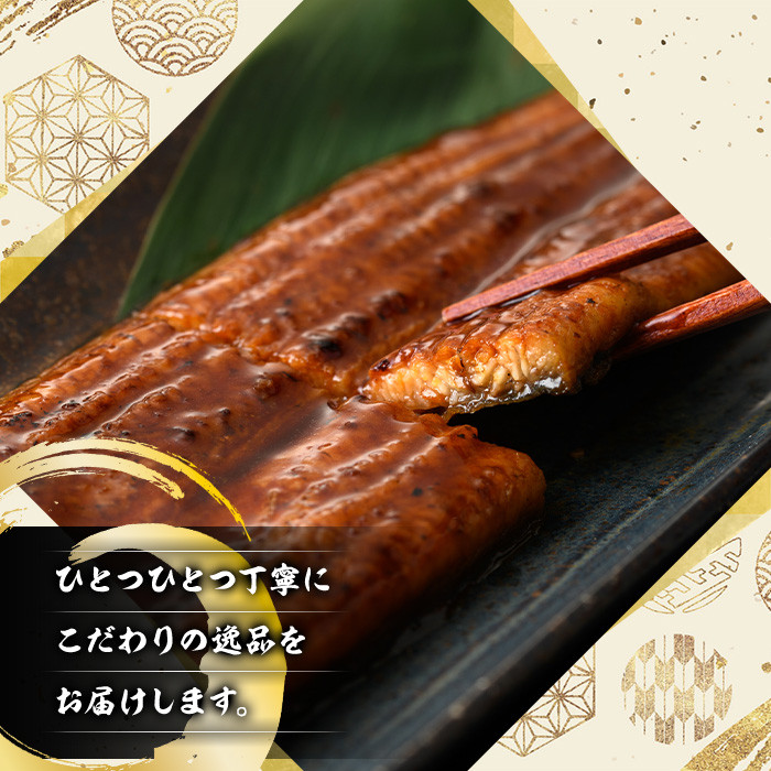 無投薬！鹿児島県産うなぎ蒲焼セット＜中＞(計660g・ 約110g×6尾) タレ・山椒付き 鰻 ウナギ 国産【西日本養鰻】B145-v01 - 鹿児島県曽於市｜ふるさとチョイス - ふるさと納税サイト