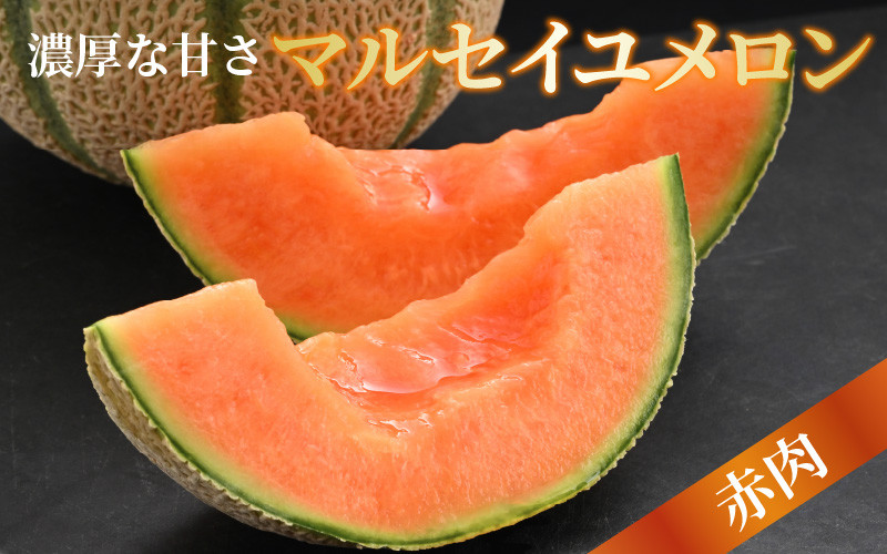【先行予約】マルセイユメロン 約3kg前後《秀品》(5L～3L 2～3玉入）深みのある甘さ とろける濃厚な赤肉！農家直送 有機肥料 低農薬 ※2024年6月発送 - 福井県あわら市｜ふるさと ...