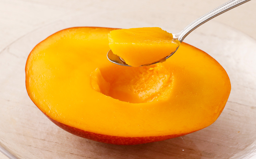 ＜宮崎県産 完熟マンゴー 4L×2玉(合計 約1kg)＞ ※2024年5月上旬～7月中旬迄に順次出荷します。 - 宮崎県高鍋町｜ふるさとチョイス - ふるさと納税サイト