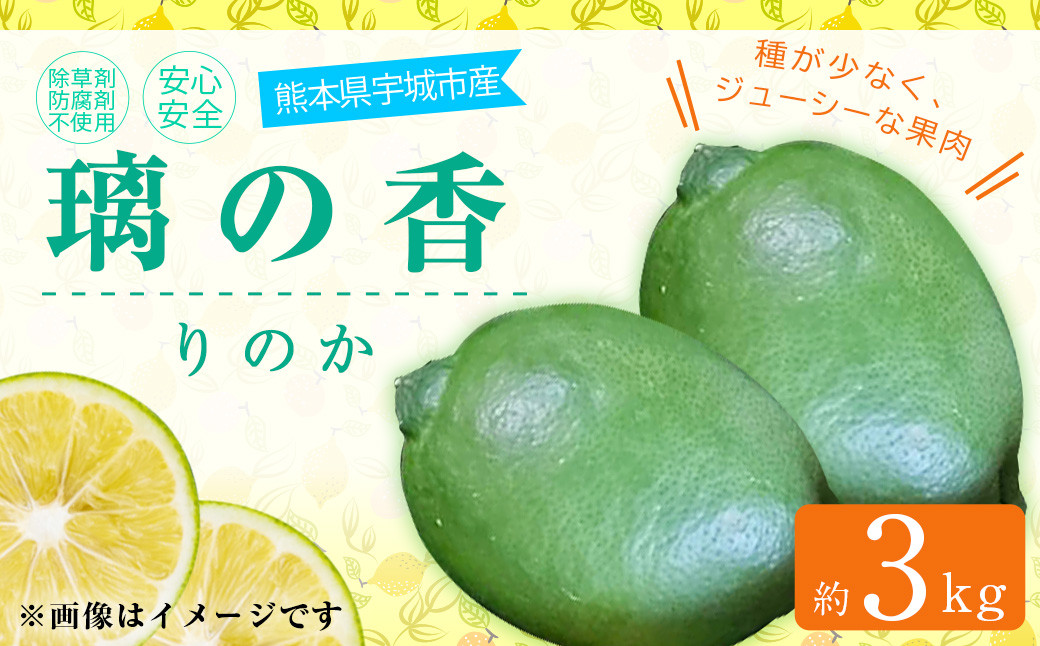 【8月下旬～順次発送予定】璃の香(りのか) 約3kg 10～15玉 吉田レモニー 檸檬 レモン れもん 果物 くだもの フルーツ 柑橘 - 熊本県宇城市｜ふるさとチョイス - ふるさと納税サイト
