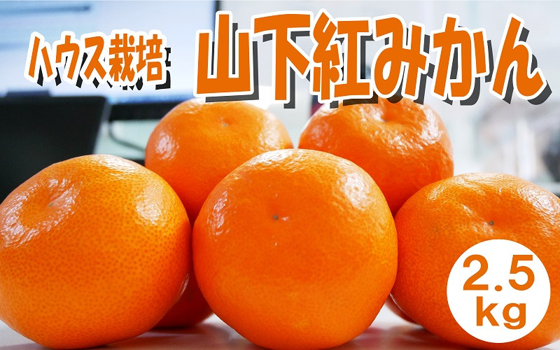ベリー・レア・ファームのみかん「山下紅みかん」2.5kg - 佐賀県NPO支援｜ふるさとチョイス - ふるさと納税サイト