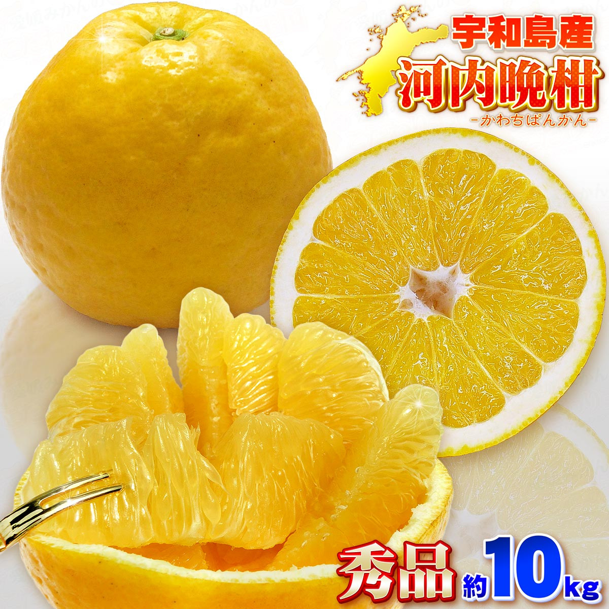贈答用 河内晩柑 10kg L～2L サイズ 中井屋 果物 フルーツ 柑橘 みかん 蜜柑 晩柑 かわちばんかん 和製 グレープフルーツ 数量限定 産地直送 国産 愛媛 宇和島 B012 ...