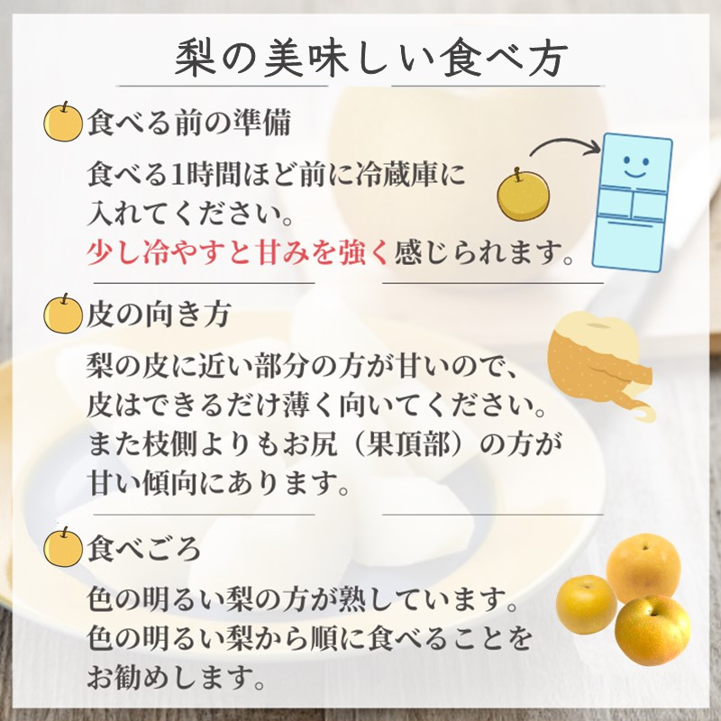 梨 幸水 5kg 14～18玉 千葉県 白井市 しろいの梨 - 千葉県白井市｜ふるさとチョイス - ふるさと納税サイト