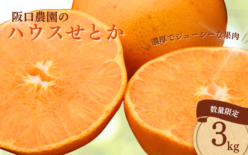 \受付は2月12日まで！／ 阪口農園のハウスせとか 3kg(2L～3L 9玉～12玉)【2024年2月中旬から2024年3月中旬までに順次発送】 / せとか ハウスせとか みかん 蜜柑 数量 ...