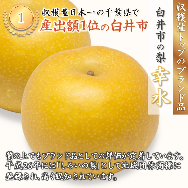 【今夏収穫分】しろいの梨 幸水 5kg 14～18玉 予約受付 - 千葉県白井市｜ふるさとチョイス - ふるさと納税サイト