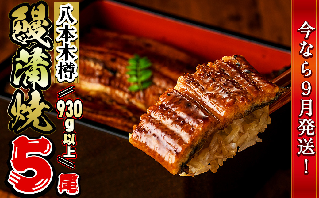 【数量限定】特大! 国産 八本木樽鰻の蒲焼(186g以上×5尾) うなぎ 鰻 ウナギ 5尾 国産 九州産 蒲焼き かばやき 冷凍 うな丼 うな重 ひつまぶし タレ 山椒 ランキング 人気 c0 ...