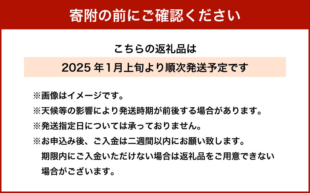 紅ほっぺ DX 約260g×4パック 計1,040g 【2025年1月上旬-2025年3月下旬発送予定】｜ いちご 苺 果物 くだもの フルーツ 紅ほっぺ - 静岡県菊川市｜ふるさとチョイス ...