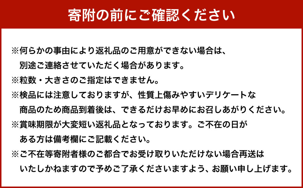 紅ほっぺ DX 約260g×4パック 計1,040g 【2025年1月上旬-2025年3月下旬発送予定】｜ いちご 苺 果物 くだもの フルーツ 紅ほっぺ - 静岡県菊川市｜ふるさとチョイス ...