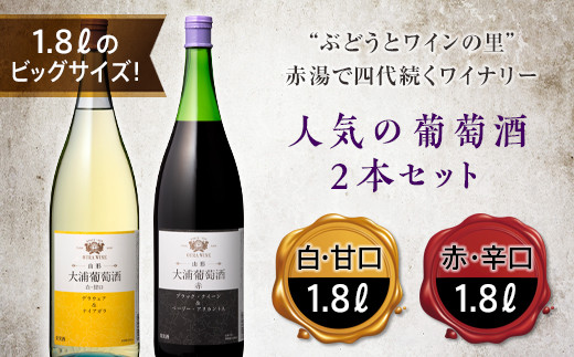 大浦葡萄酒 人気葡萄酒2本セット 1.8L F2Y-2208 - 山形県｜ふるさとチョイス - ふるさと納税サイト
