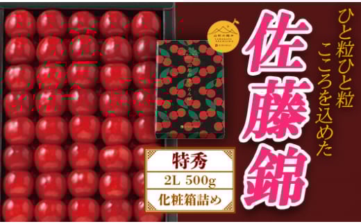 《先行予約》【山形の極み】さくらんぼ佐藤錦 500g 化粧詰 F2Y-5193 - 山形県｜ふるさとチョイス - ふるさと納税サイト