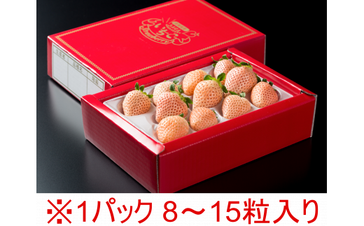 岸川農園のいちご「淡雪」220g×1P - 佐賀県NPO支援｜ふるさとチョイス - ふるさと納税サイト