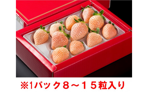 岸川農園のいちご「淡雪」220g×1P【化粧箱入り】 - 佐賀県NPO支援｜ふるさとチョイス - ふるさと納税サイト