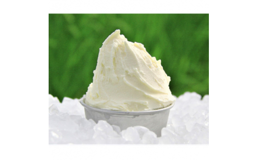 ＜業務用＞稚内牛乳アイスクリーム2000ml宗谷の塩×宗谷の塩2個セット【1327625】 - 北海道稚内市｜ふるさとチョイス - ふるさと納税サイト