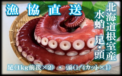 B-20002 【北海道根室産】水蛸ボイルセット(足、頭) - 北海道根室市｜ふるさとチョイス - ふるさと納税サイト