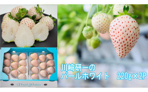 川﨑研一の「パールホワイト」220g×2P - 佐賀県NPO支援｜ふるさとチョイス - ふるさと納税サイト