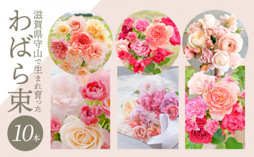 わばら束10本 WABARA 摘みたて ブーケ 花束 Rose Universe - 滋賀県守山市｜ふるさとチョイス - ふるさと納税サイト