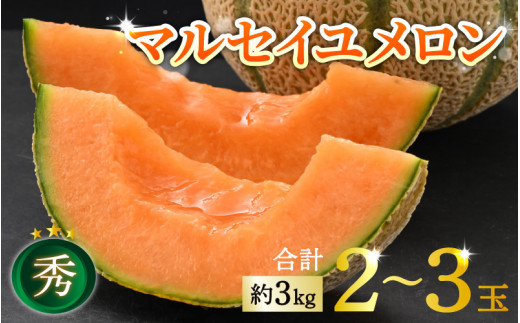 【先行予約】マルセイユメロン 約3kg前後《秀品》(5L～3L 2～3玉入）深みのある甘さ とろける濃厚な赤肉！農家直送 有機肥料 低農薬 ※2024年6月発送 - 福井県あわら市｜ふるさと ...