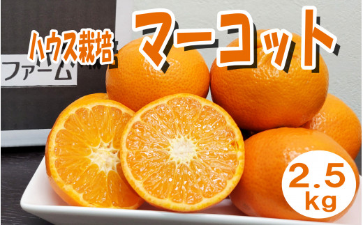 ベリー・レア・ファームのみかん「マーコット」2.5kg - 佐賀県NPO支援｜ふるさとチョイス - ふるさと納税サイト