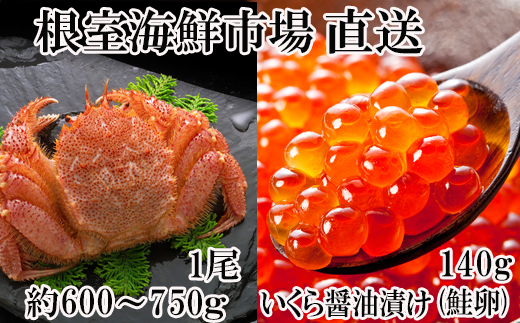 B-14091 ボイル毛がに(新物)約600～750g×1尾といくら醤油漬け(鮭卵)70g×2P - 北海道根室市｜ふるさとチョイス - ふるさと納税サイト