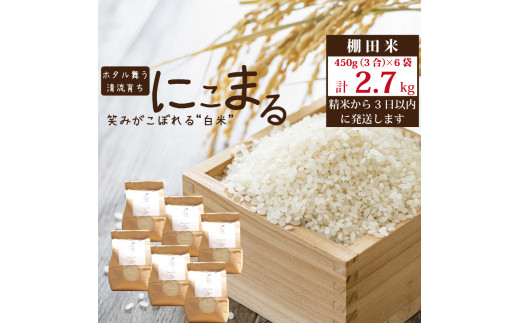 棚田栽培 にこまる 2.7kg（450g[3合]×6袋） - 徳島県勝浦町｜ふるさとチョイス - ふるさと納税サイト