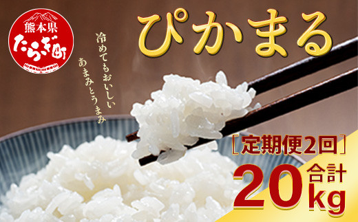 【R6年産米 定期便2回】多良木町産 『ぴかまる』 10kg(5kg×2)×2回 【計 20kg 】 定期便 定期配送 精米 お米 米 艶 粘り 甘み うま味 もちもち 熊本のお米 20キロ ...