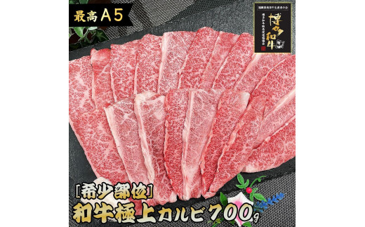 希少部位厳選！特選カルビ 博多和牛 A5 700g - 福岡県福岡市｜ふるさとチョイス - ふるさと納税サイト