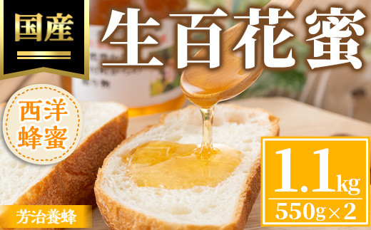 A51003 国産西洋蜂蜜 生百花蜜(1.1kg・550g×2) 国産 鹿児島県産 蜂蜜 はちみつ ハチミツ ギフト プレゼント 贈答 家庭用【芳治養蜂】 - 鹿児島県肝付町｜ふるさとチョイス ...