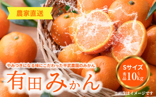 AX6002_【平武農園より農家直送！】有田みかん 10kg Sサイズ 《秀品》蛍飛ぶ町から旬の便り - 和歌山県湯浅町｜ふるさとチョイス ...