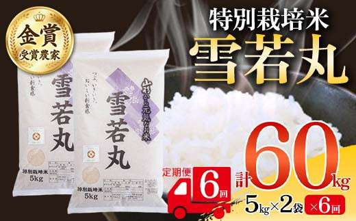 【定期便6回】 特別栽培米 雪若丸 5kg×2袋 F2Y-4027 - 山形県｜ふるさとチョイス - ふるさと納税サイト