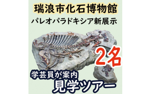 瑞浪市化石博物館パレオパラドキシア新コーナー、学芸員の解説付き見学ツアー(2名)【1502730】 - 岐阜県瑞浪市｜ふるさとチョイス ...