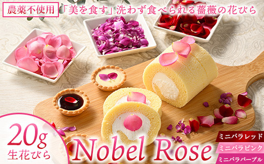 『美を食す』 Nobel Rose 生花びら 20g｜通年出荷 食用バラ 薔薇 - 栃木県さくら市｜ふるさとチョイス - ふるさと納税サイト