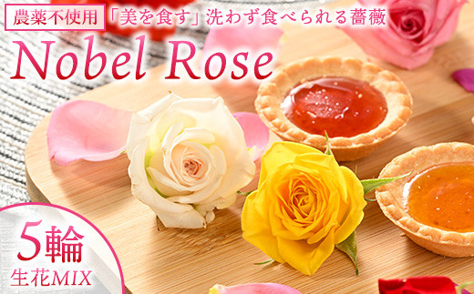 『美を食す』 Nobel Rose 生花MIX 5輪｜通年出荷 食用バラ 薔薇 - 栃木県さくら市｜ふるさとチョイス - ふるさと納税サイト