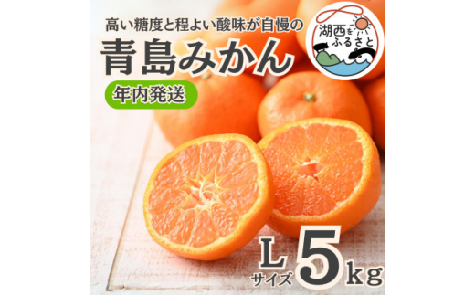 ＜年内発送＞＜12月中旬より順次出荷予定＞青島みかん約5kg Lサイズ〔鈴木農園〕【1510097】 - 静岡県湖西市｜ふるさとチョイス ...