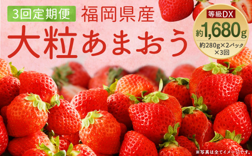 【3回定期便】【先行予約】あまおう 等級DX 約560g 約280g×2パック いちご 苺 果物 フルーツ【2026年1月上旬～3月下旬迄順次発送予定】 - 福岡県柳川市｜ふるさとチョイス ...